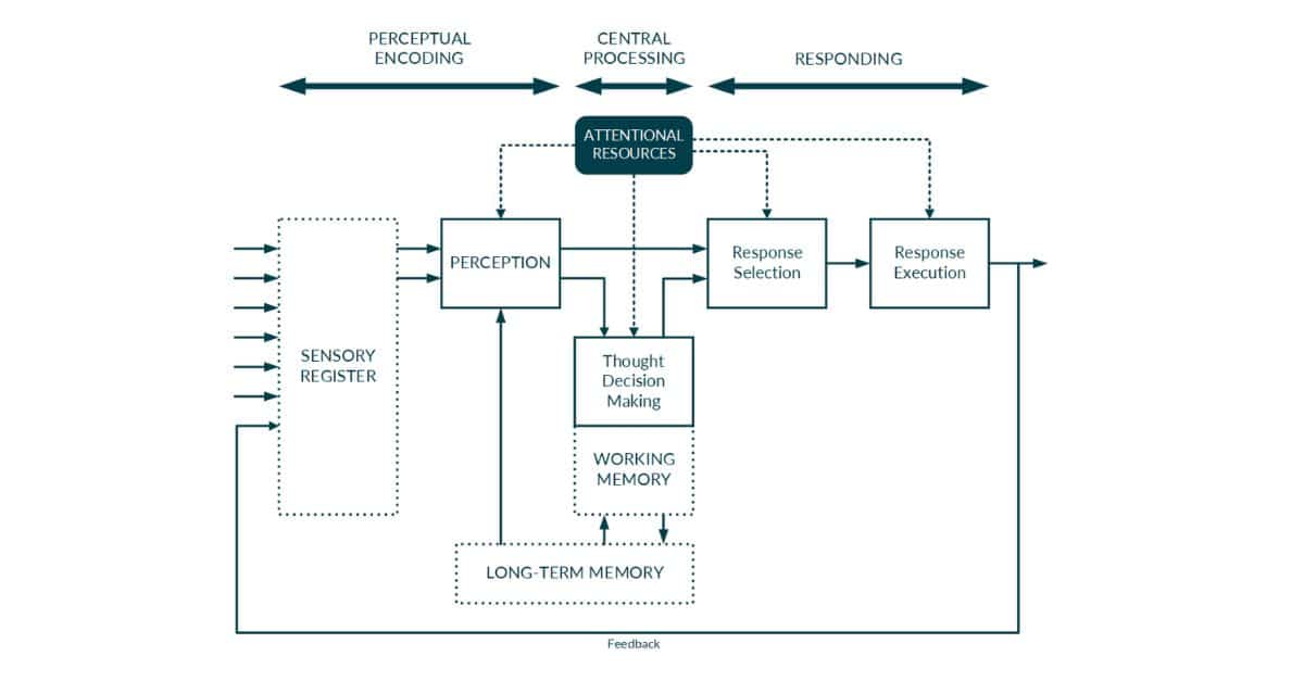 The most important model - Human Factors in ETCS design - Australia