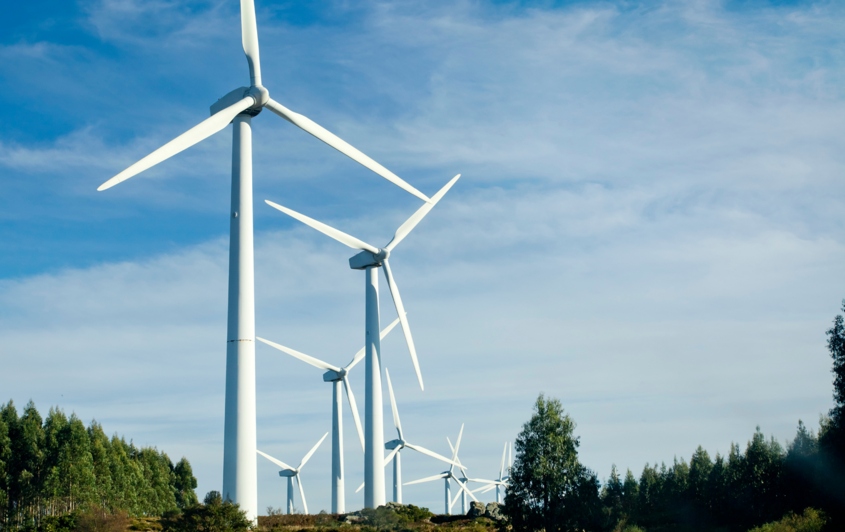 Does the Transport Boom hold the key to the Energy Transition? - Australia