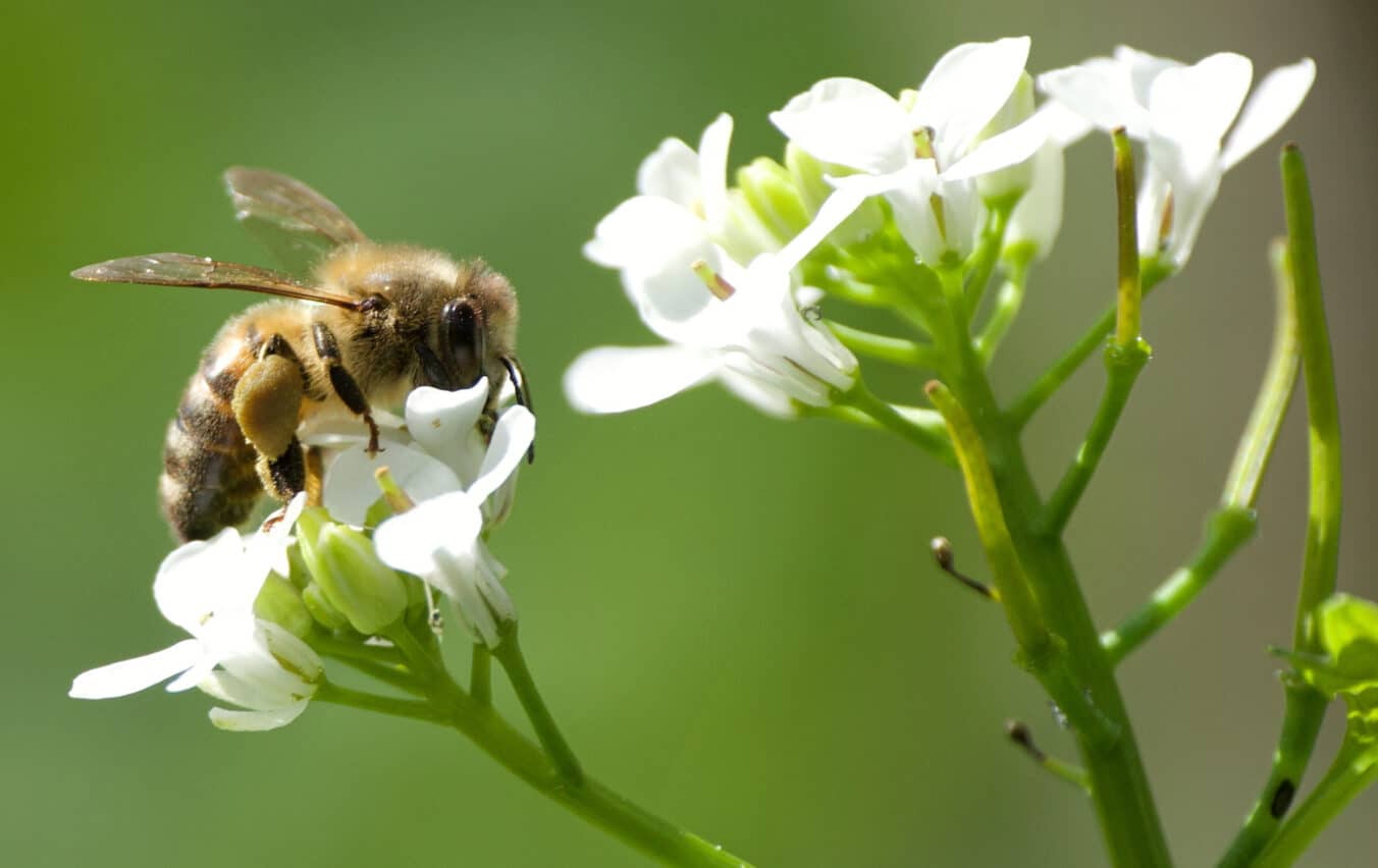 Climate Change Adaptation & Infrastructure Resilience - SYSTRA Ireland