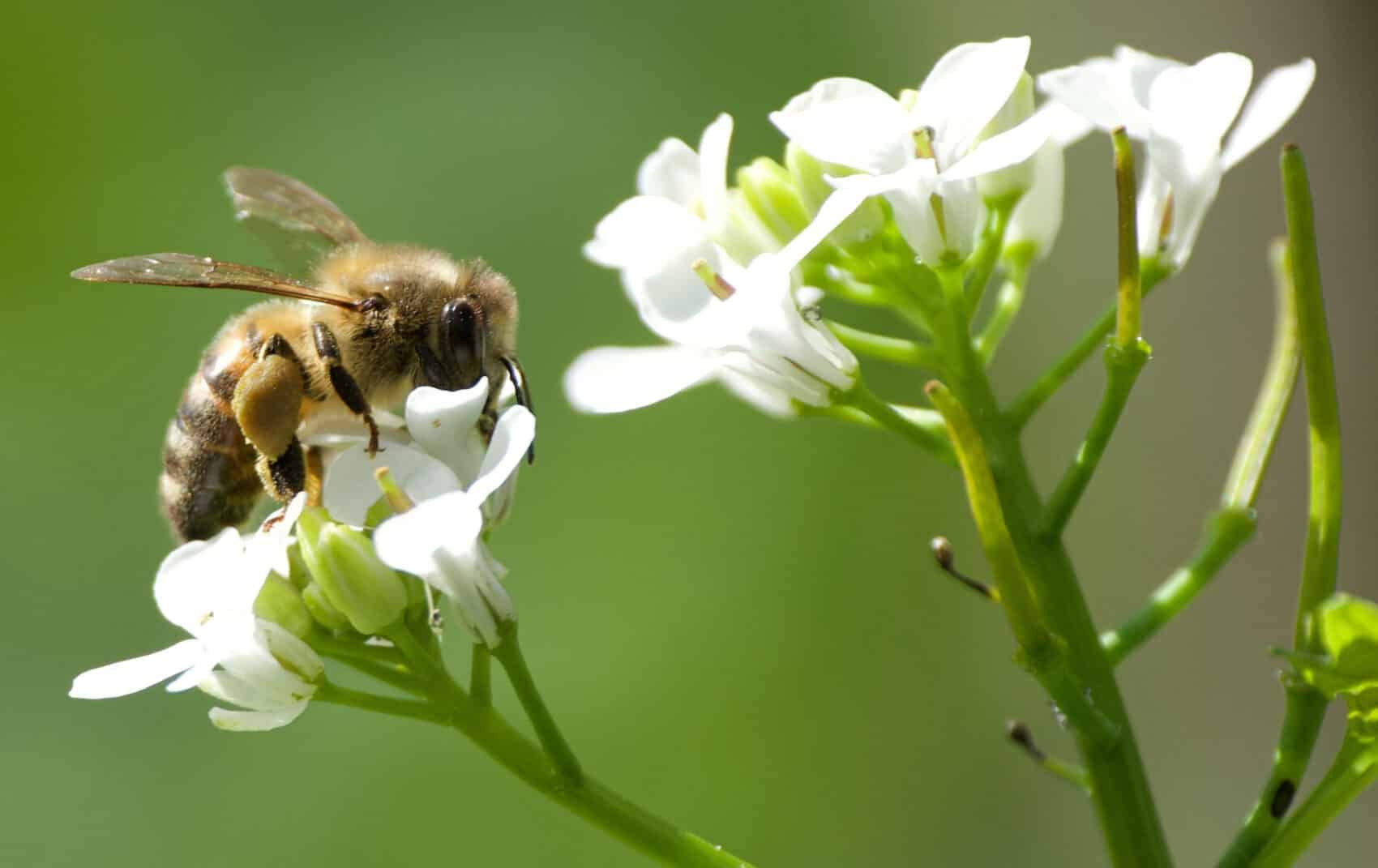 Climate Change Adaptation & Infrastructure Resilience - SYSTRA Ireland