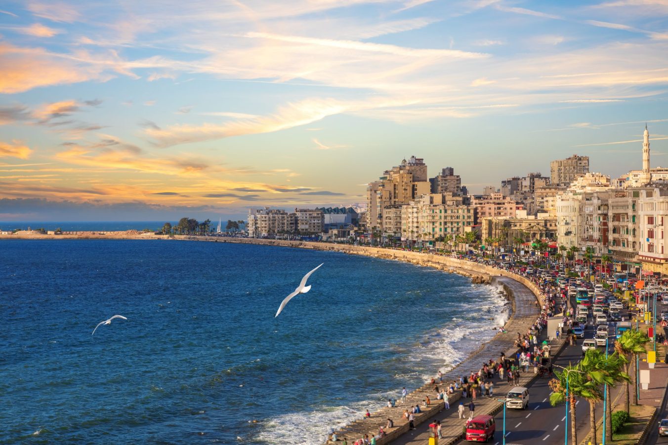 Alexandria metro reinvents itself with SYSTRA - Group