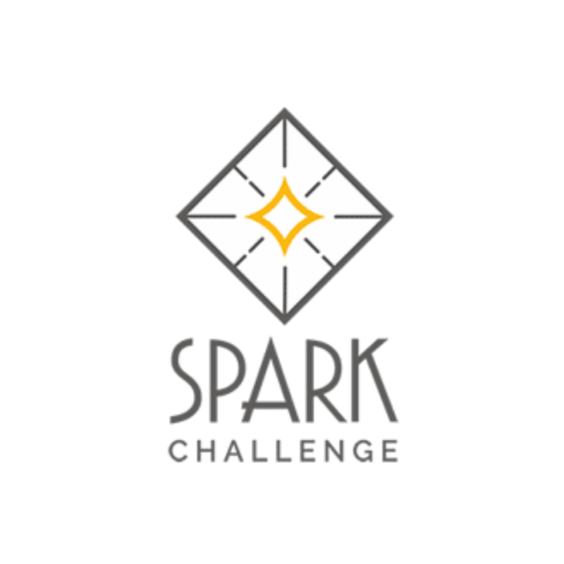 Spark Challenge - Groupe
