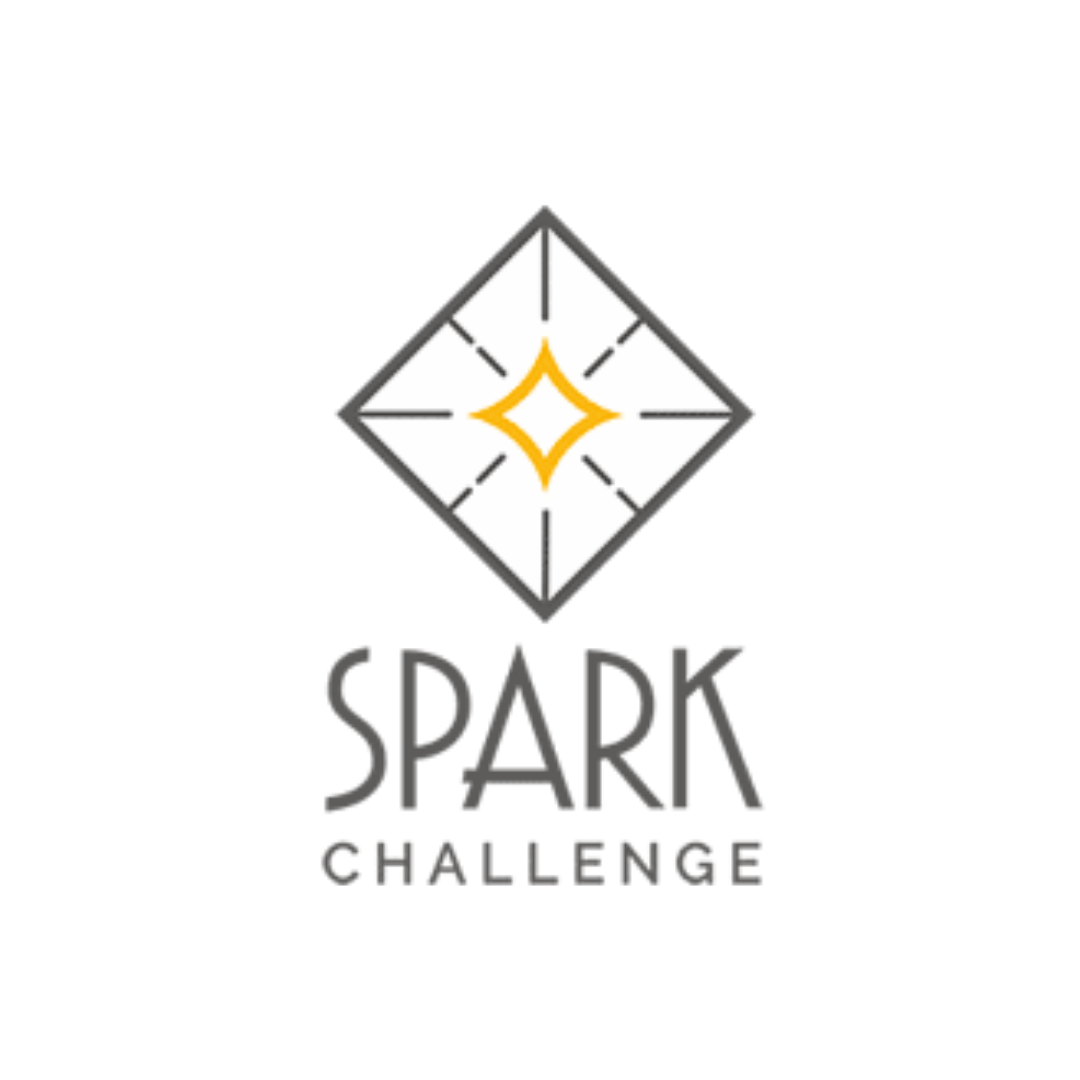 Spark Challenge - Groupe